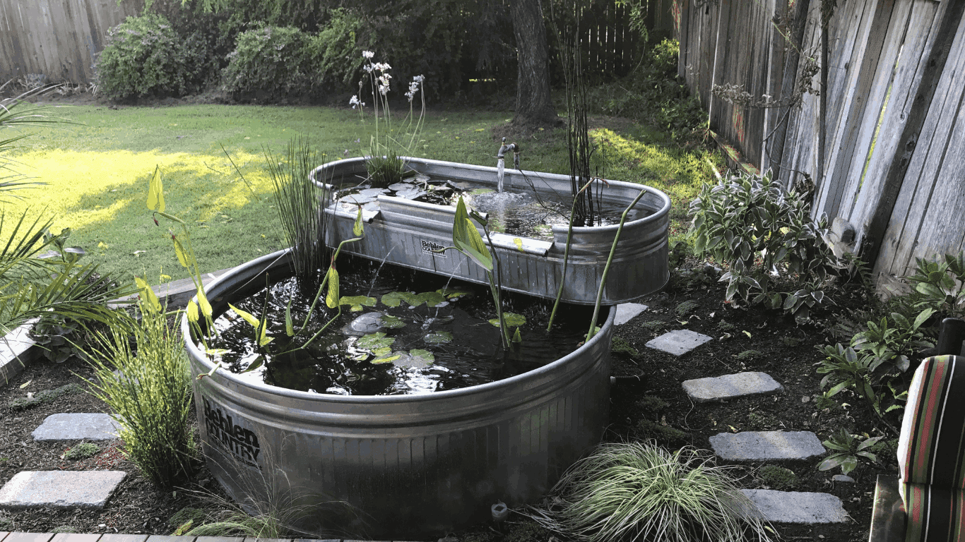 Create a Stunning Stock Tank Pond for Your Fish - Aquarium Friend